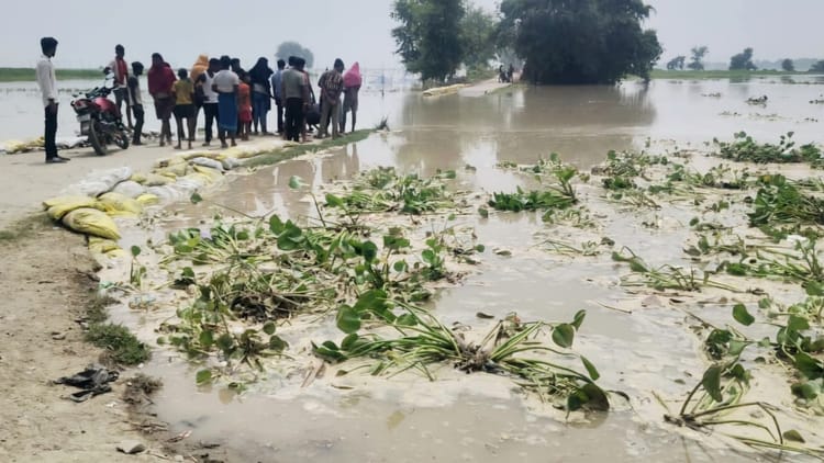भागलपुर में बाढ़ का कहर:6.65 लाख लोग प्रभावित, कई गांव गंगा में समाए ...
