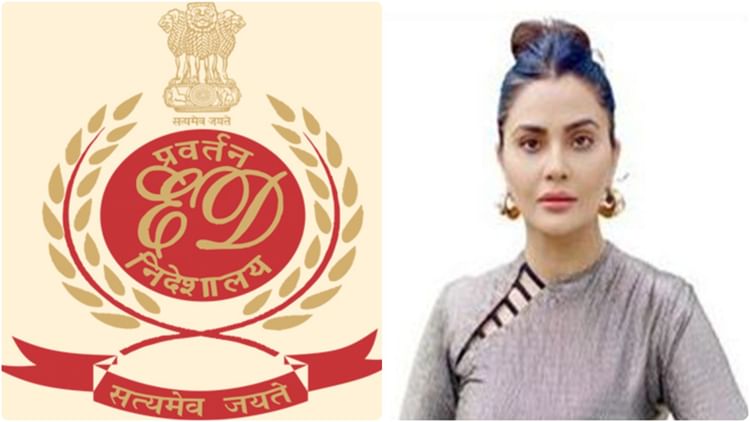 Ed Arrested Instagram Influencer And Hibocare Owner Sandeepa Virk In Money Laundering Case ...