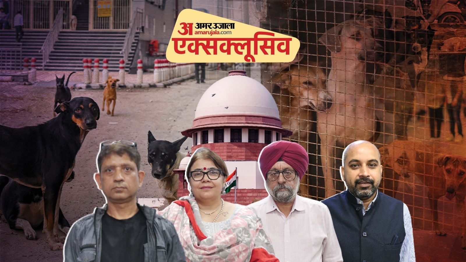 Exclusive:आवारा कुत्तों पर 'सुप्रीम' फैसले पर पक्ष-विपक्ष के क्या तर्क ...