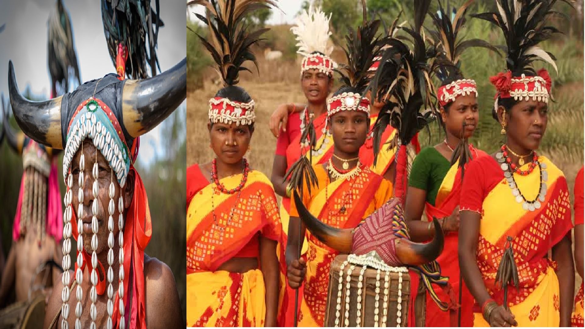 Chhattisgarh News: 'adi Karmayogi Abhiyan' Run In Chhattisgarh; Know Here Everything - Amar ...