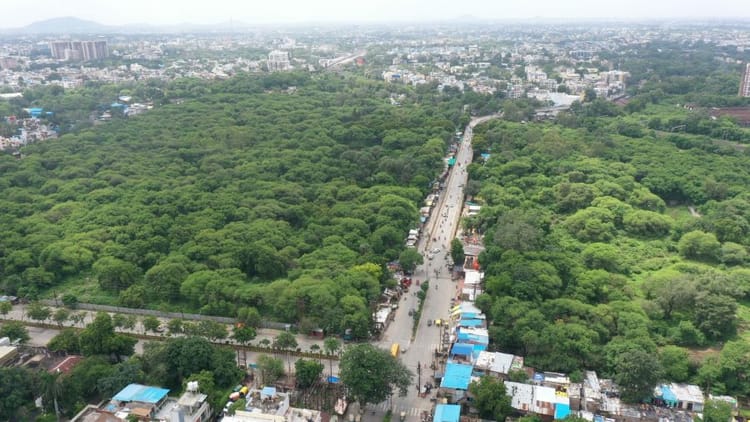 Indore News Hukumchand Mill Save Protest For Tree Water Natural Forest ...
