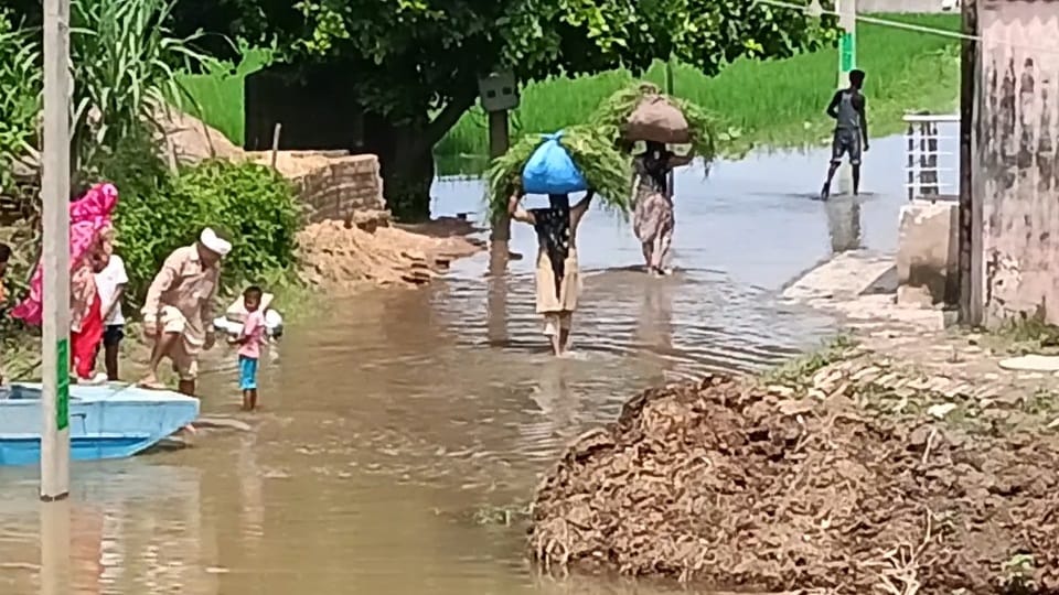 Punjab Weather:दस जिलों में भारी बारिश का अलर्ट, भाखड़ा से छोड़े पानी ...