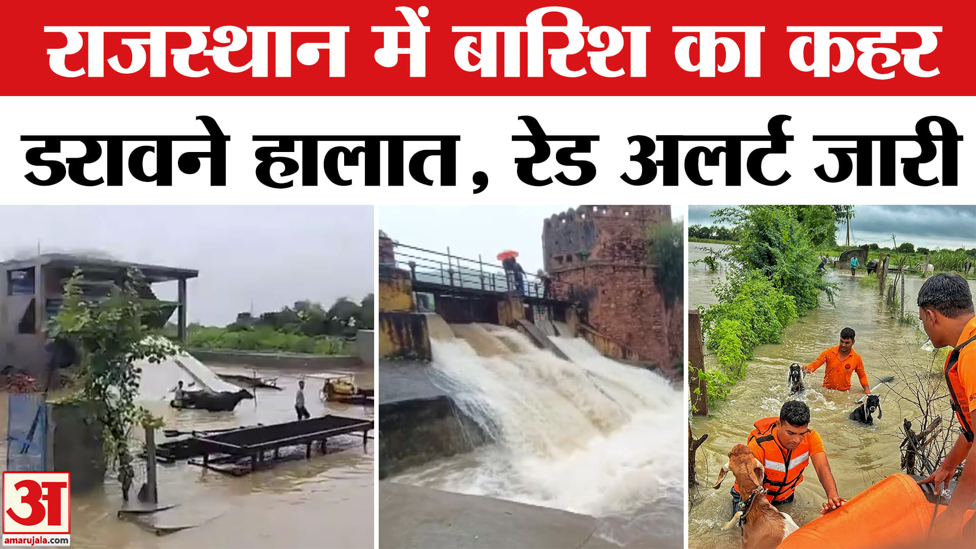 Rajasthan Heavy Rain/flood News:प्रदेश में भारी बारिश का कहर, बाढ़ जैसे ...