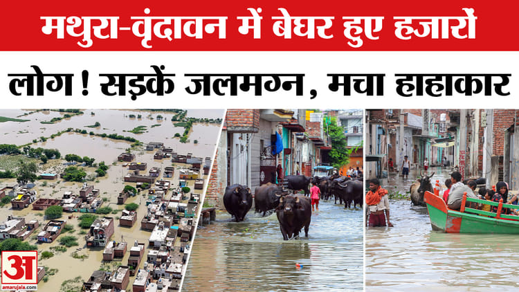 Mathura-vrindavan Flood Update:मथुरा-वृंदावन में बाढ़ का प्रकोप, जलमग्न ...