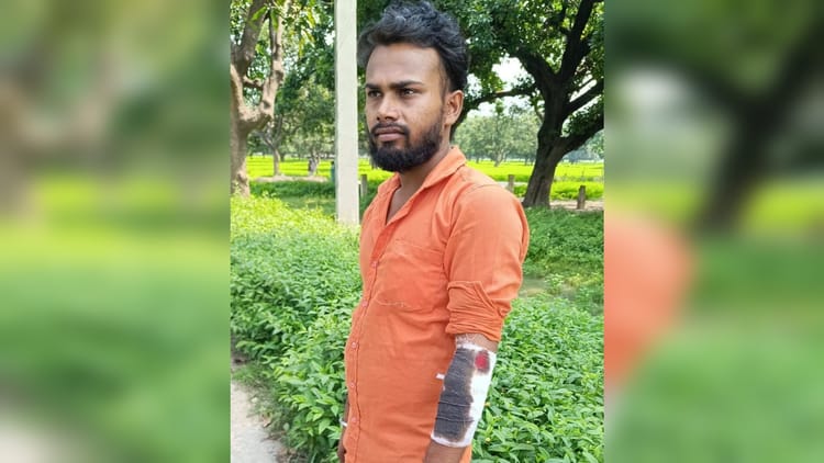 Prayagraj News Leopard Hidden In Paddy Field Attacked Farmer, Narrowly ...