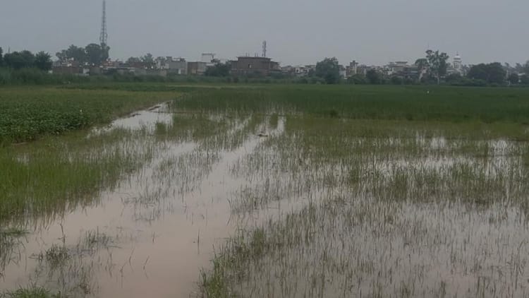 Kurukshetra:आखिरकार शांत हुई मारकंडा, खतरे के निशान से 11 हजार क्यूसेक ...
