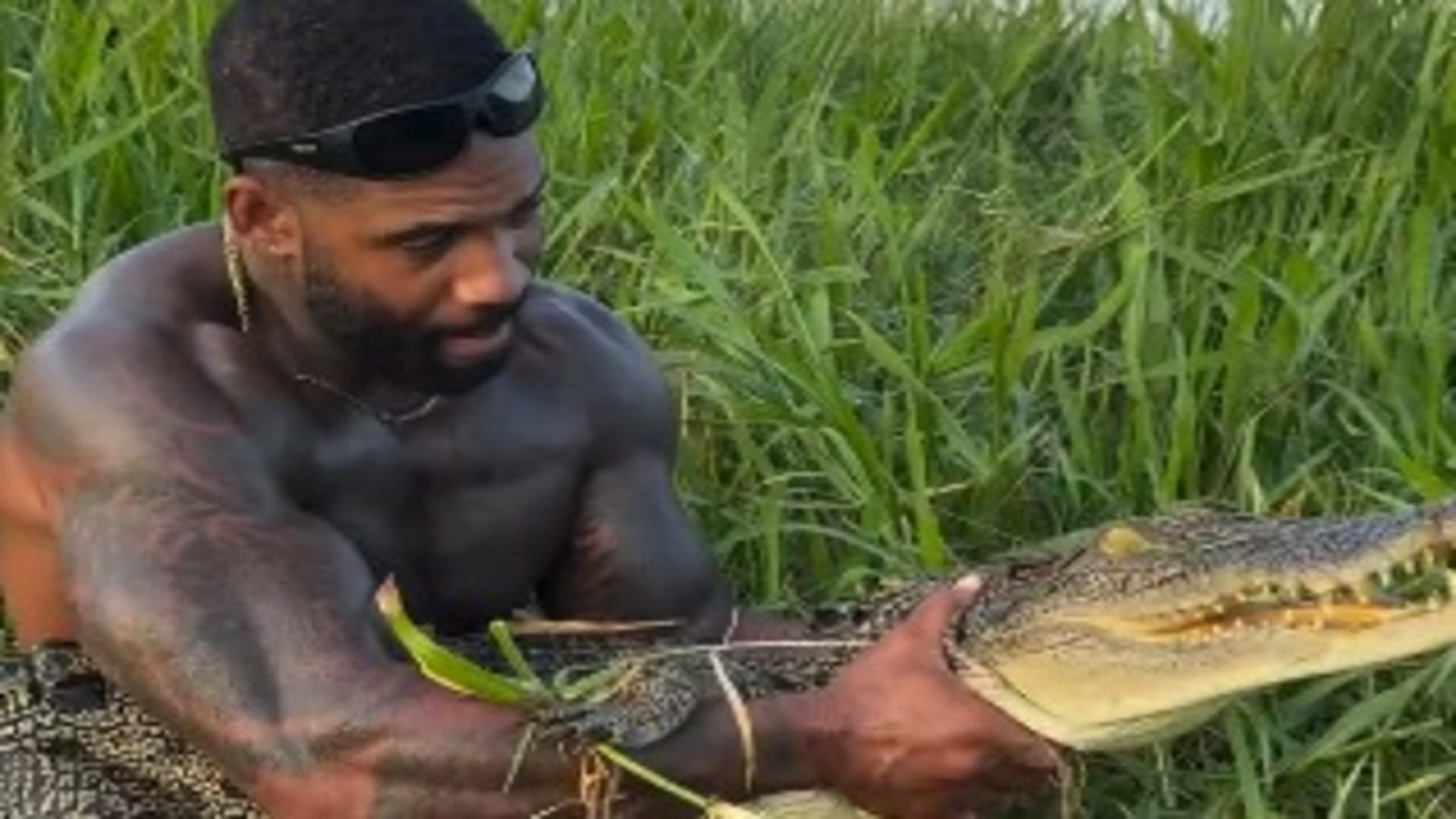 Viral Video:इस शख्स ने हाथों से पकड़ लिया खतरनाक मगरमच्छ, आगे हुआ कुछ ऐसा... - Viral Video Of ...