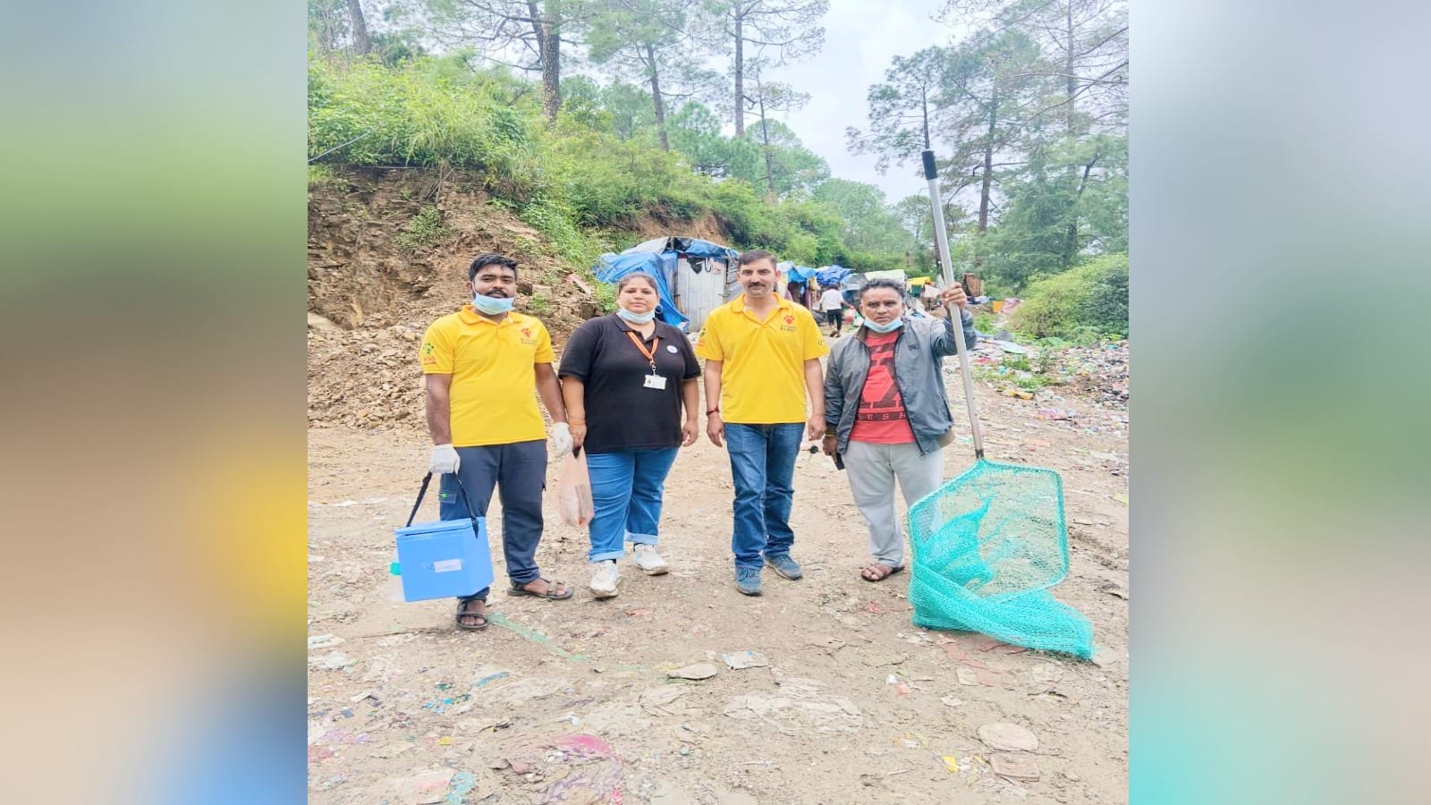 3,507 Dogs Were Given Anti-rabies Vaccine In Shimla, The Campaign Ran ...