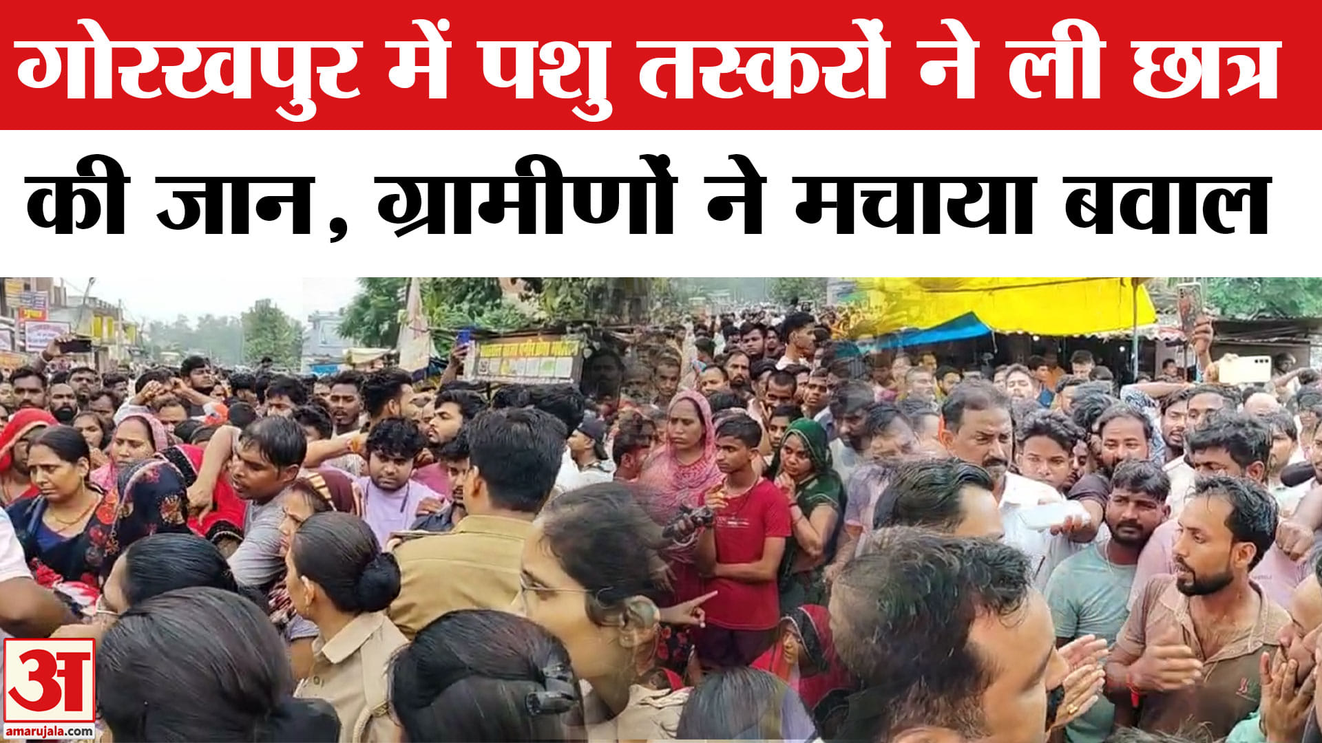 Animal Smugglers Took The Life Of A Student In Gorakhpur - Amar Ujala Hindi News Live ...