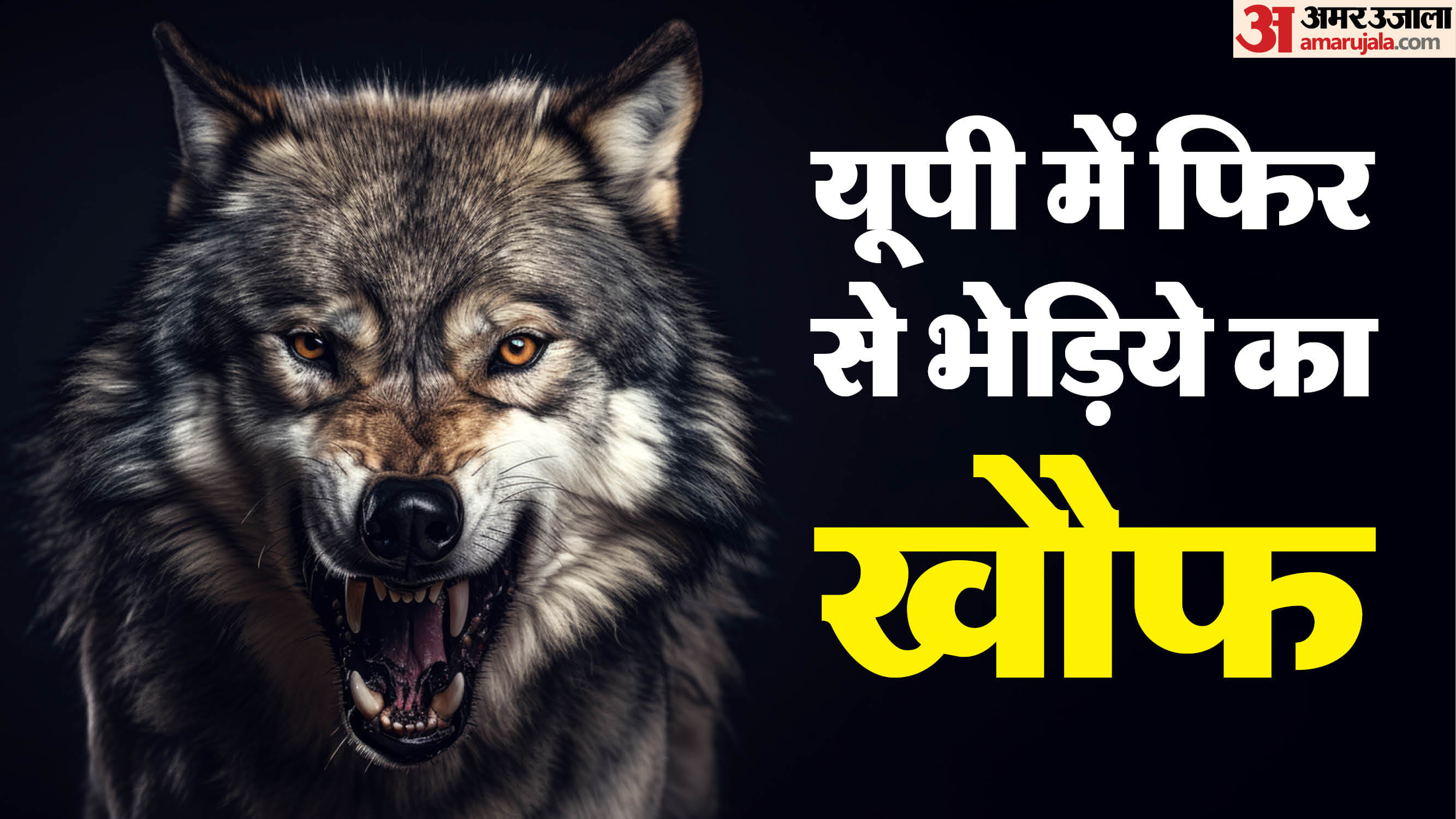 Bahraich Wolf Attack News: Man Eater Wolves Strike, 3-year-old Snatched ...