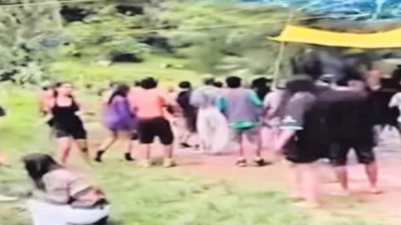 Police Raid Dj Party In Tulga Forest, One Person Booked - Kullu News ...