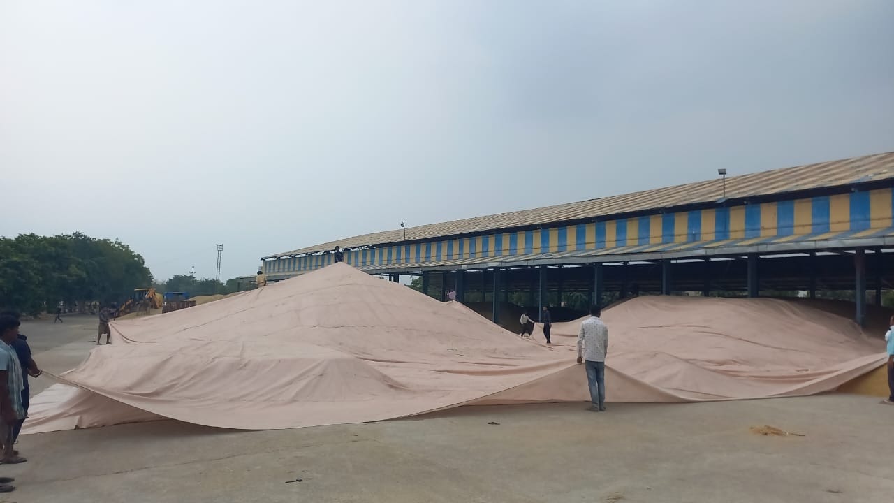 हरियाणा में मौसम ने फिर ली करवट:झज्जर-रेवाड़ी-नारनौल समेत दक्षिणी जिलों ...