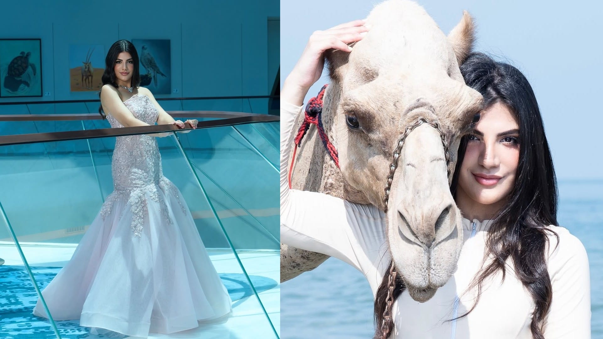 Mariam Mohammed Miss Universe Uae 2025 Profile Story - Amar Ujala Hindi News Live - Trending ...