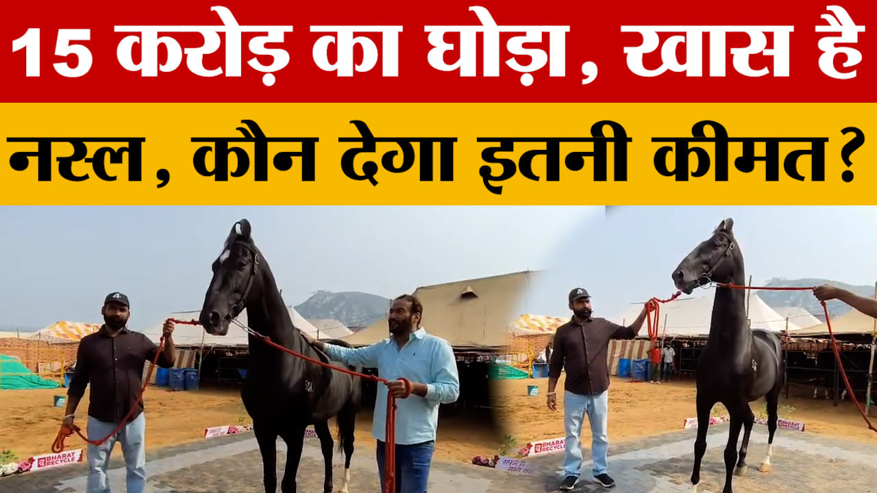 Pushkar Mela:पुष्कर मेले में पहुंचा 15 करोड़ की कीमत वाला घोड़ा, जानें ...