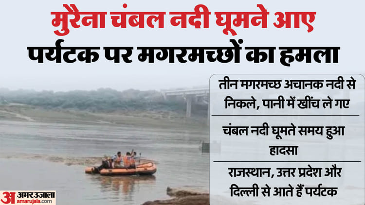 Tourist Visiting Chambal Safari Dragged Away By Crocodile; Rescue ...