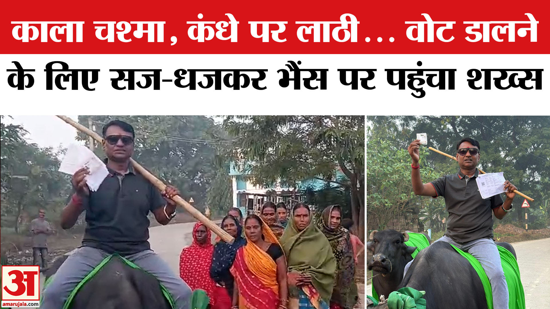 Bihar Election Phase 1 Voting:वोट डालने के लिए सज-धजकर भैंस पर पहुंचा ...