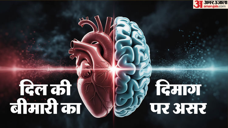 Heart & Brain:हार्ट कमजोर तो ब्रेन के लिए भी बढ़ सकती हैं मुश्किलें, घट सकती है सोचने-समझने की ...