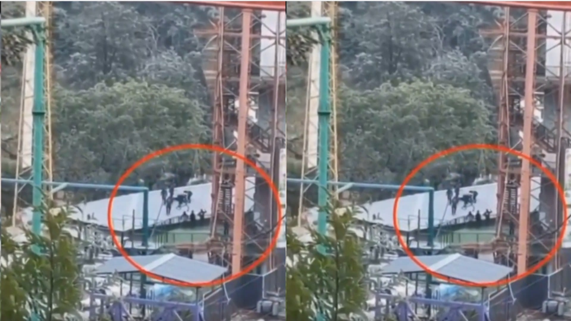 Viral Video:180 फीट की ऊंचाई से गिरा युवक, बंजी जंपिंग के दौरान रस्सी ...