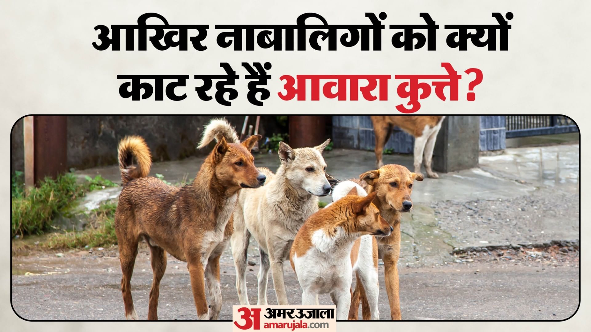 यूपी:कुत्तों और जानवरों के काटने हर तीसरा पीड़ित नाबालिग, कुत्ते के ...