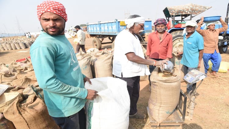 Cg News:छत्तीसगढ़ में समर्थन मूल्य पर धान खरीदी तेज, चार दिनों में 7.28 ...