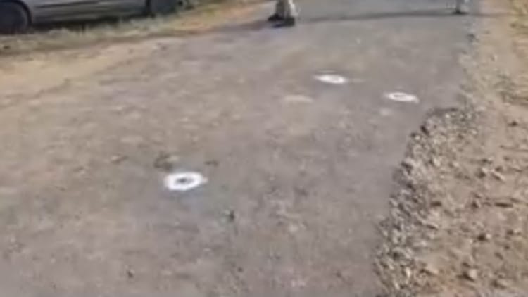 Jalandhar Encounter:गोराया में पुलिस और गैंगस्टर में मुठभेड़, पैर में ...