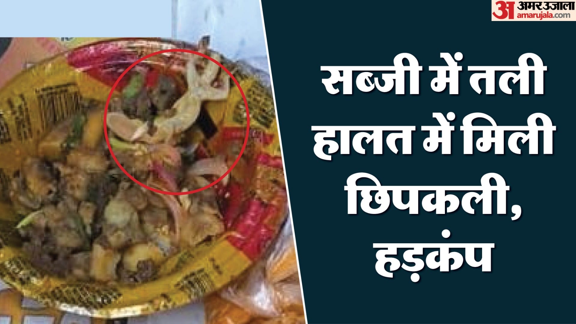 बाराबंकी:सब्जी में मिली छिपकली, खाने के बाद युवती की हालत बिगड़ी; नमूना भरने के बाद नोटिस हुआ ...