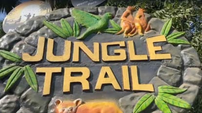 Jungle Trail In Noida:नोएडा में खुला दुनिया का सबसे अनोखा जंगल, कबाड़ और लोहे से बनी हैं ...