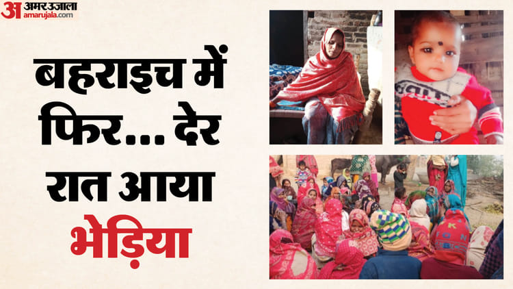 यूपी:बहराइच में मां के पास सो रही बच्ची को भेड़िया उठा ले गया, जबड़े ...