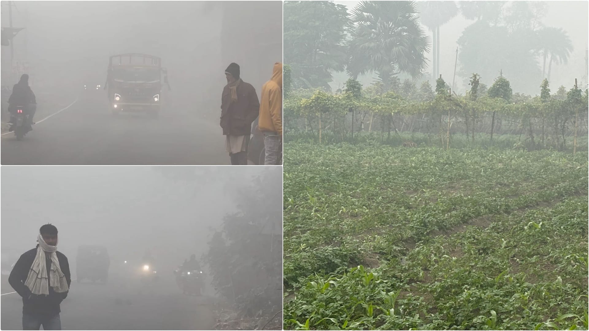 Bihar Weather:पछुआ हवा से बढ़ी ठंड, घने कुहासे ने समस्तीपुर में जनजीवन ...