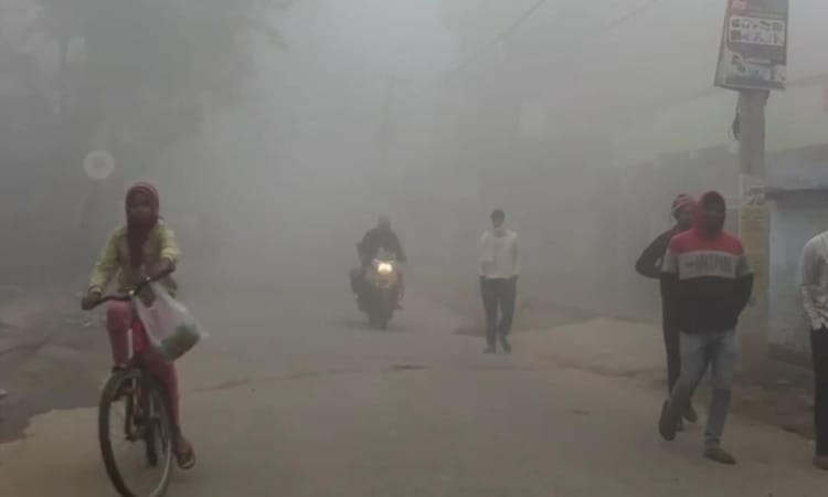 Bihar Weather:बिहार के इन 33 जिलों घने कोहरे का अलर्ट, पछुआ हवा ने ...