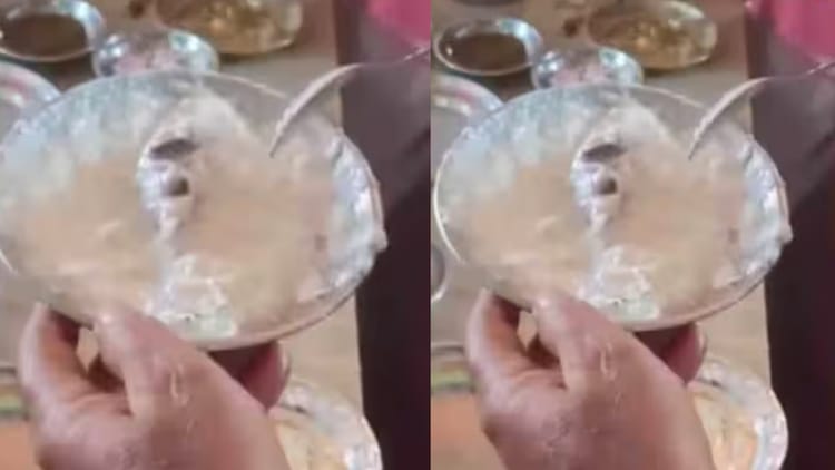 Viral Video:दही परोसी तो उड़ गए होश, प्लेट में दिखा मरा चूहा, ढाबे का ...