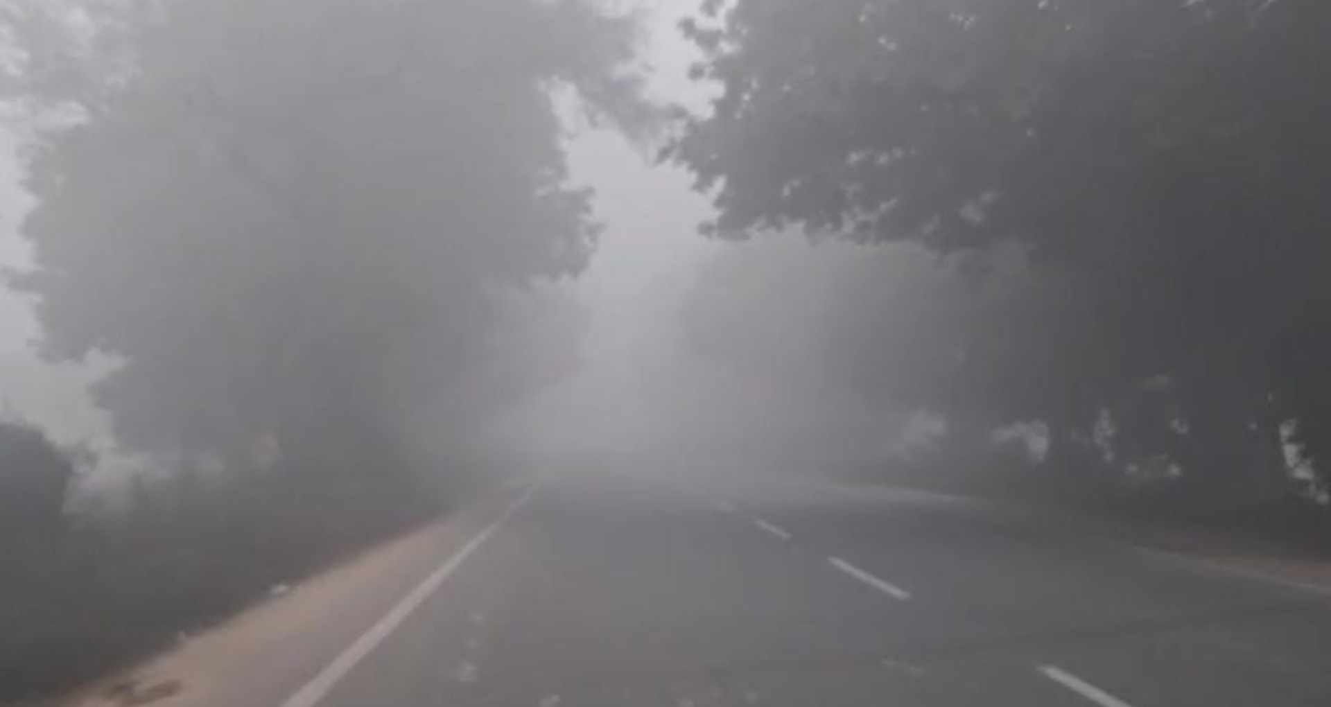 Bihar News:छपरा में कड़ाके की ठंड से जनजीवन अस्त-व्यस्त, जिला प्रशासन ...