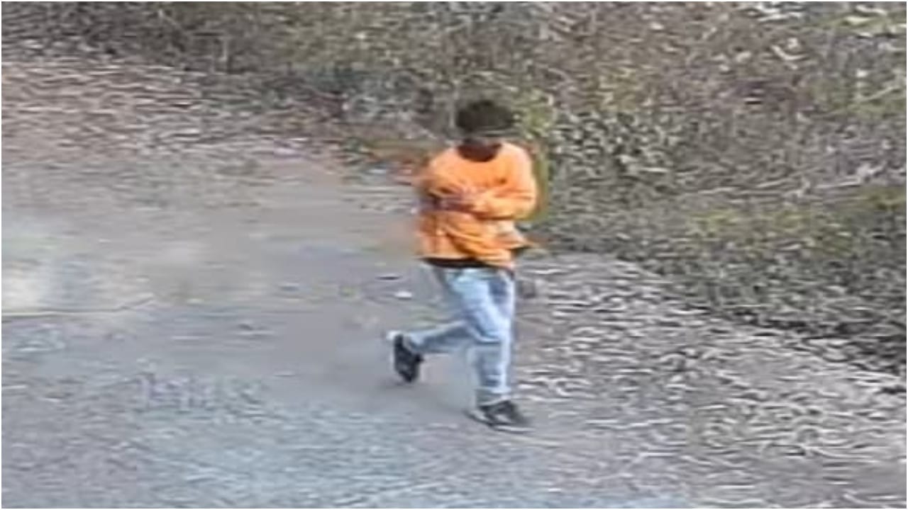 Bareilly News:तीन सौ बेड अस्पताल की सीटी स्कैन यूनिट में फिर चोरी, तार ...