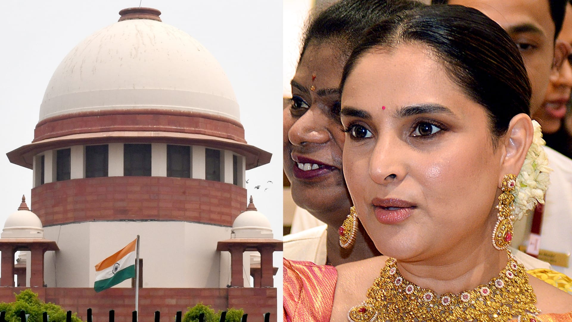 Stray Dogs Case:'सभी पुरुषों को जेल में डाल दें?', कोर्ट की टिप्पणी पर ...