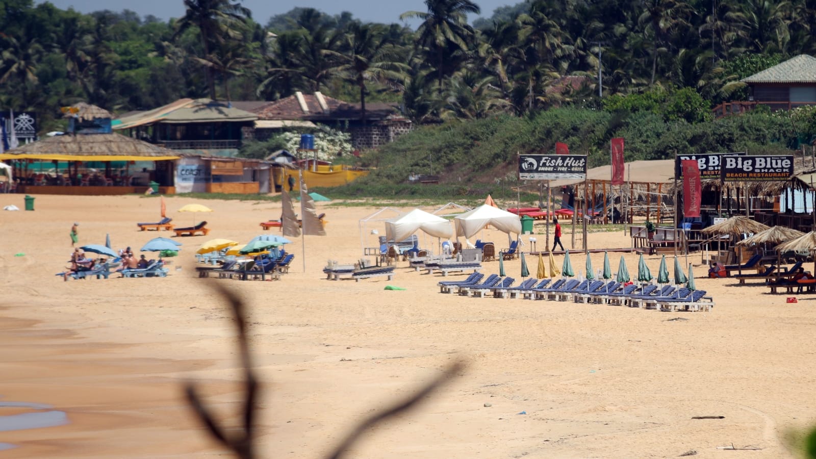 Goa Tourism:फिर गोवा का पर्यटकों पर चढ़ा खुमार, साल 2025 में रिकॉर्ड ...