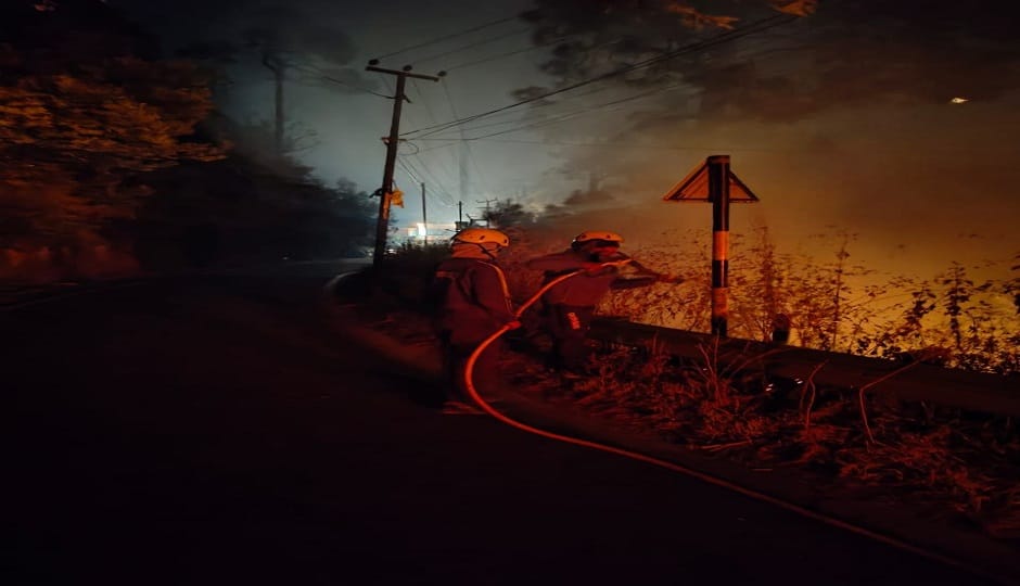 Uttarakhand News:अल्मोड़ा के पपरशैली जंगल में भड़की आग, दो हेक्टेयर वन ...