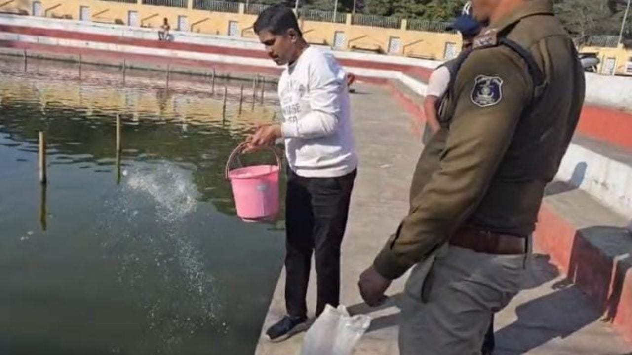 Korba News:तालाब में अचानक मछलियों की मौत से हड़कंप, किया गया छिड़काव ...