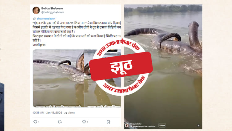 Fact Check Ai-generated Video Of A Seven-headed Snake Is Being Shared ...