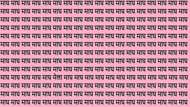 Optical Illusion:माघ की भीड़ में छिपा है मेला, हिम्मत है तो 15 सेकेंड ...