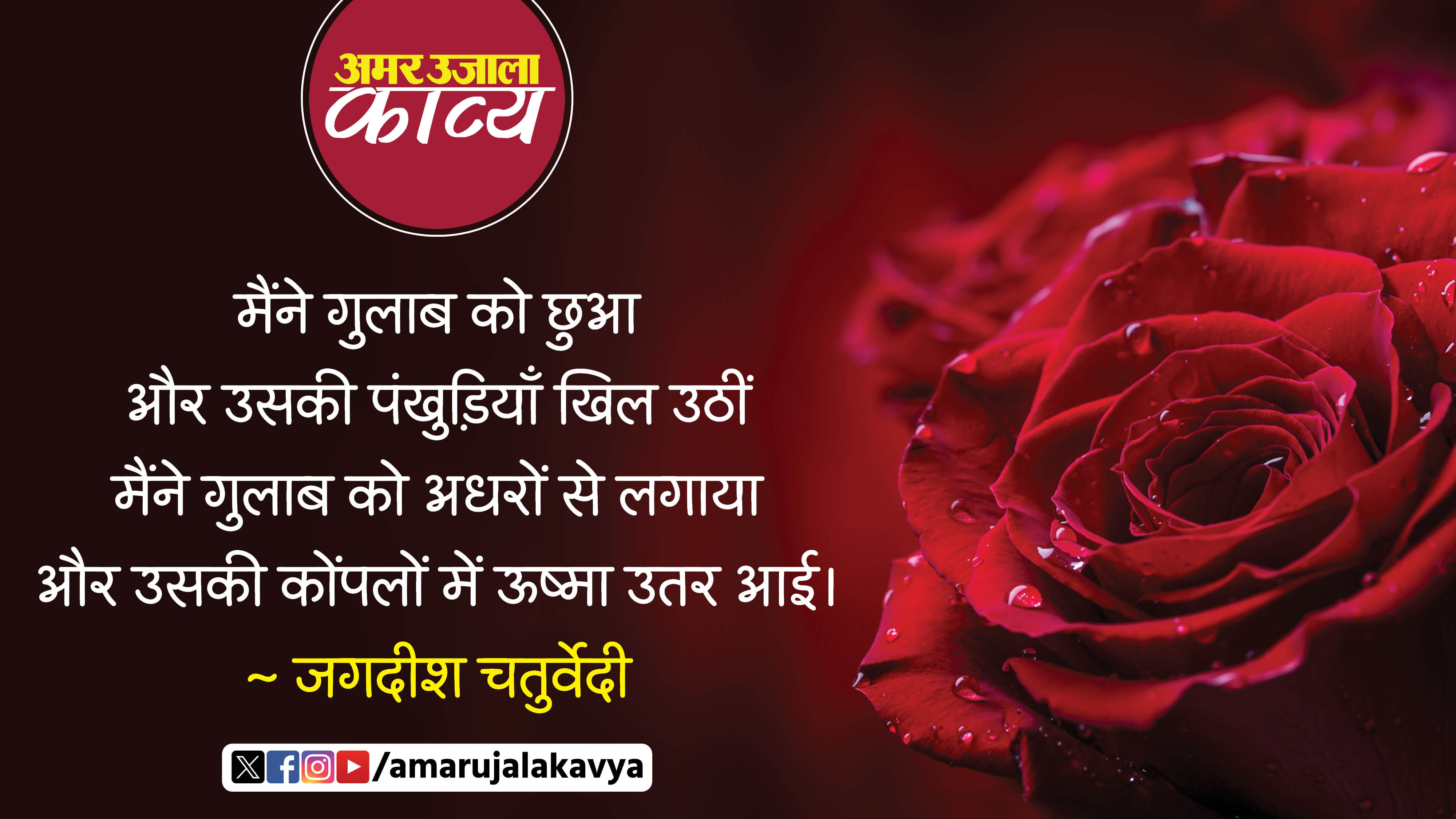 Happy Valentine Day Week 2026: Rose Day Special Poem By Jagdish ...