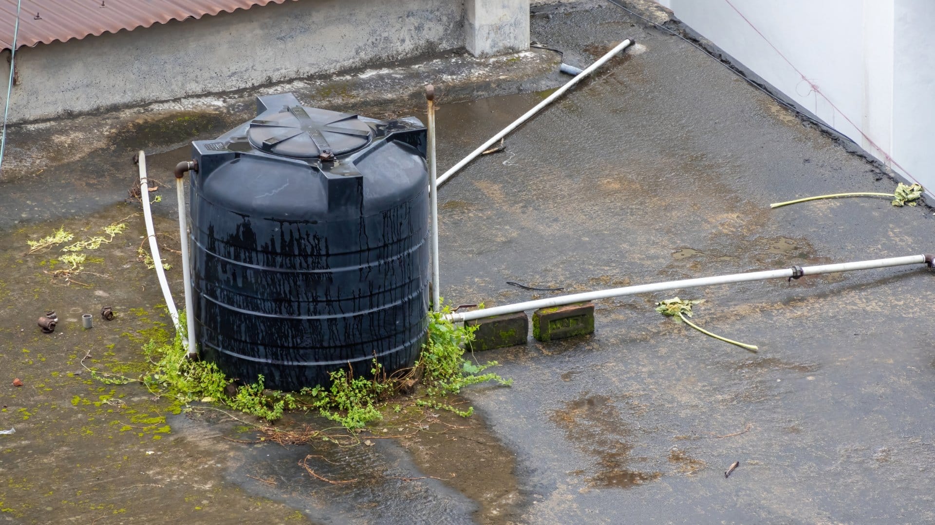 Water Tank Safety:पानी की टंकी के आस-पास निकलने लगा है पीपल का पेड़, इन ...