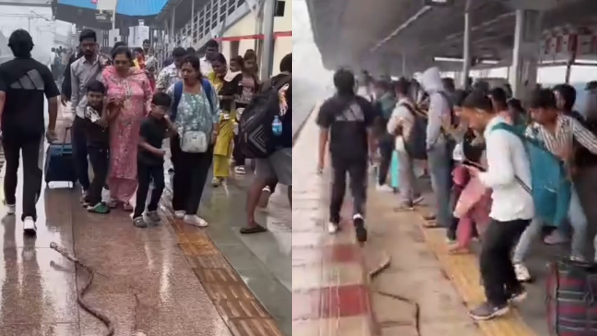 Viral Video:मथुरा स्टेशन पर सांप लेकर घूम रहा था इंफ्लूएंसर, प्रैंक ...