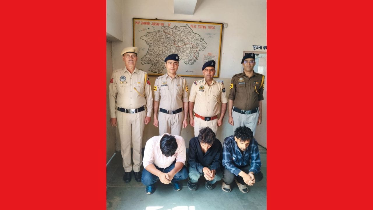 Shimla News:ढली और ठियोग में पुलिस की कार्रवाई, 13.28 ग्राम चिट्टे के ...