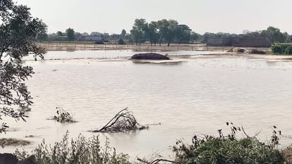 Abohar:तेज आंधी से नहर टूटी, 15 फुट का कटाव आया; 50 एकड़ कृषि भूमि ...