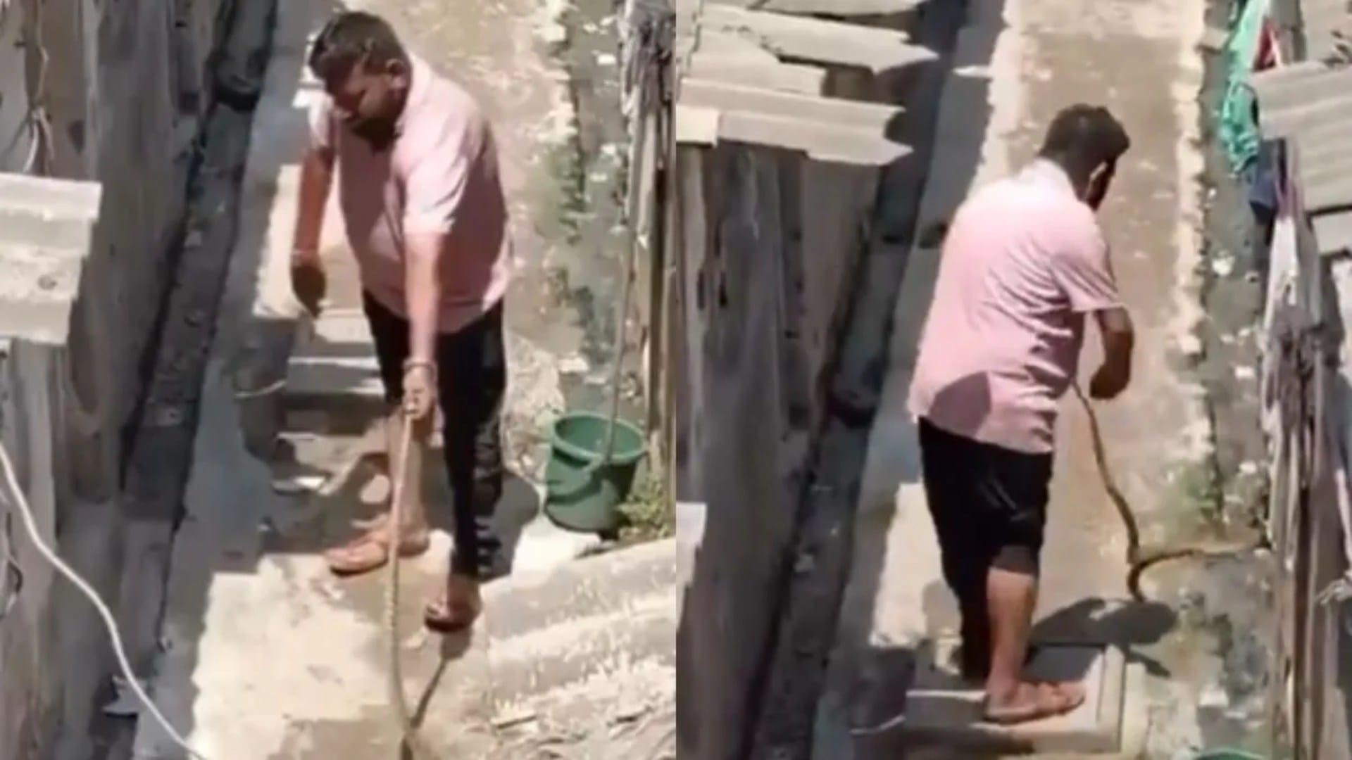 Snake Video:सांप के साथ शख्स कर रहा था खिलवाड़, अगले ही पल जो हुआ मिल ...