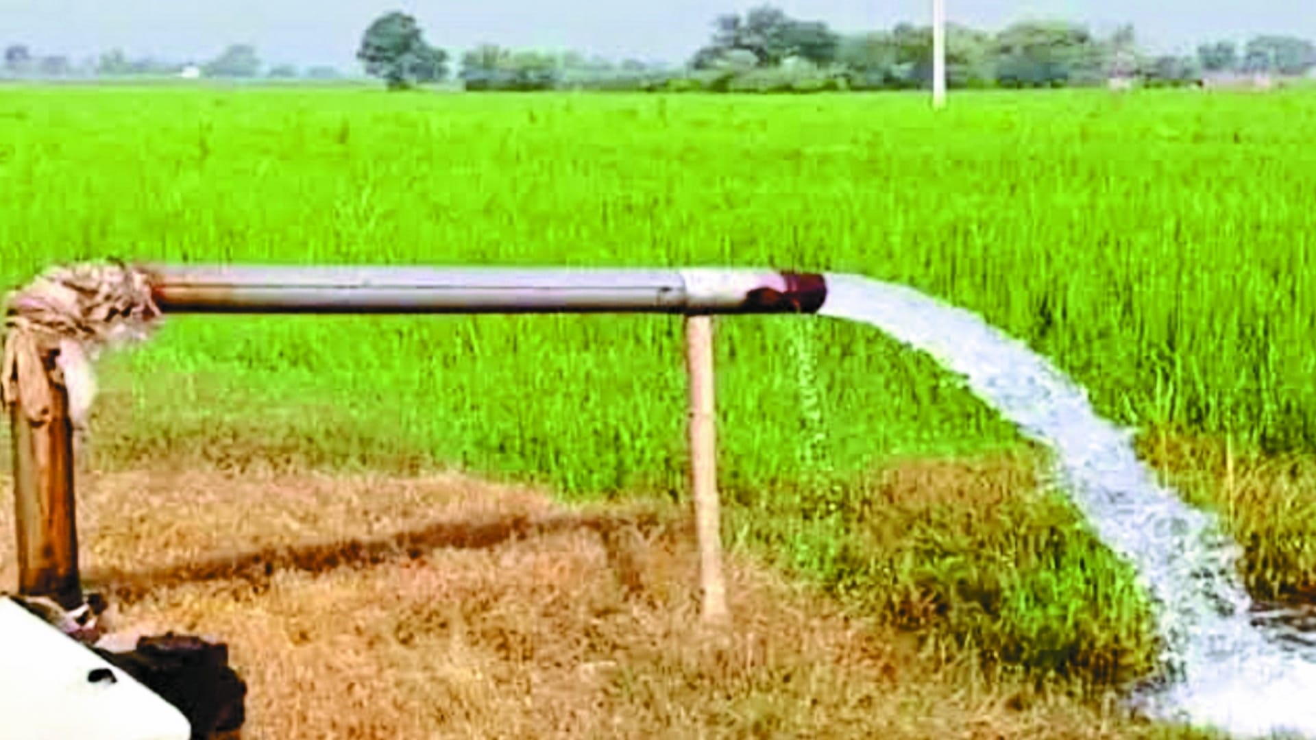 Water Crisis :2027 तक 13 मीटर नीचे जा सकता है भूजल, एमएनएनआईटी के शोध ...