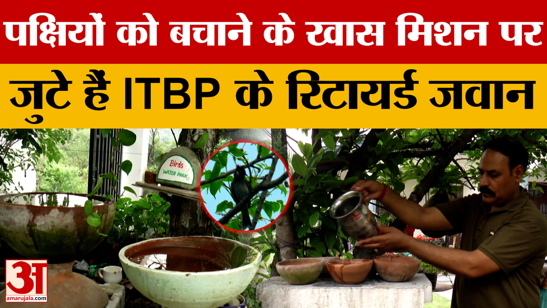 Jammu And Kashmir:पक्षियों को बचाने के खास मिशन पर जुटे हैं Itbp के ...