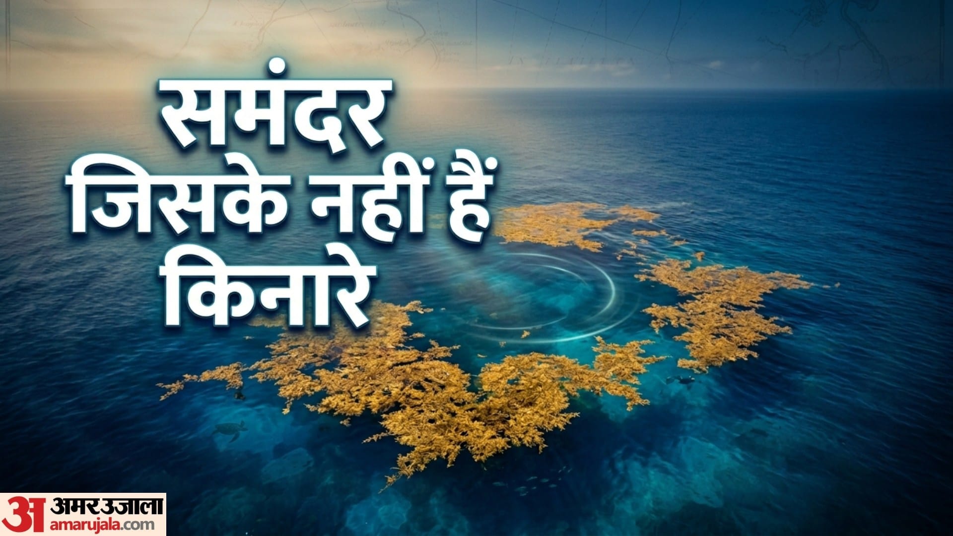 Sargasso Sea:दुनिया का इकलौता बिना किनारों वाला समंदर, रहस्यमयी सागर ...