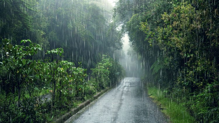 Sehore News: Heatwave Crumbles As Rain Strikes Back, Temperature Drops ...