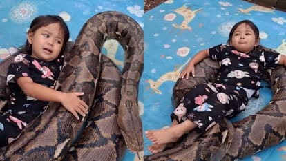 Viral Video:खिलौना समझकर अजगर पर लेटी रही बच्ची, मां-बाप बनाते रहे ...